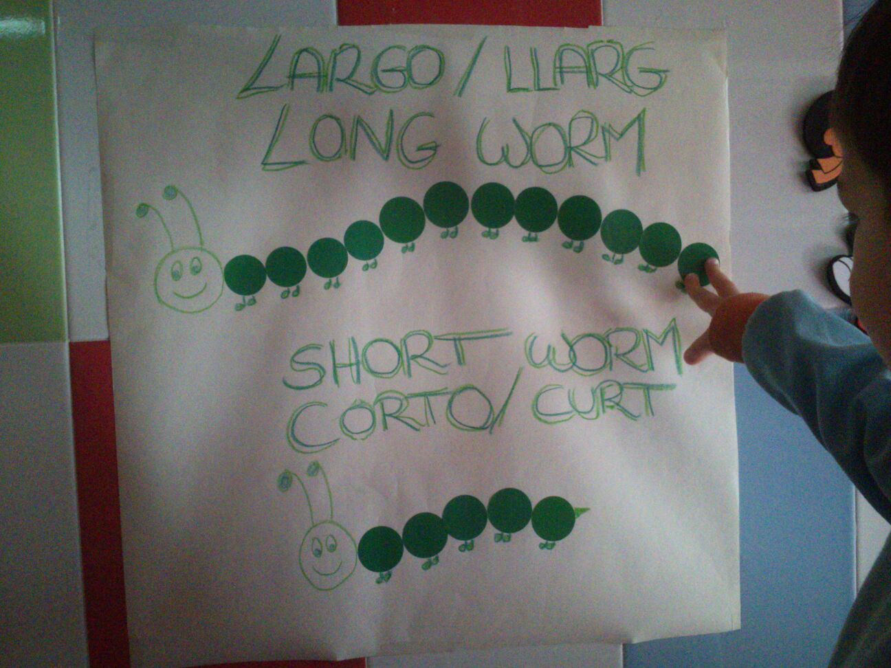 Concepto "Largo,corto/ llarg , curt/ long , short" | Escuela Infantil ...